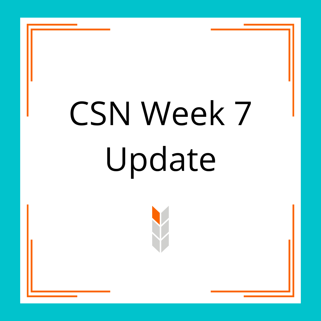 CSN Weekly Update | Oklahoma State University